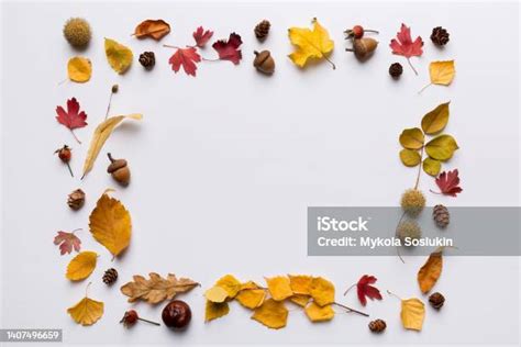 테이블에 말린 잎 원뿔 및 도토리로 만든 가을 구성 플랫 레이 상단 뷰 가을에 대한 스톡 사진 및 기타 이미지 가을 탁자 흰색 Istock