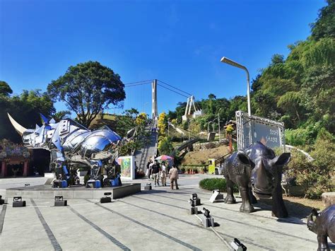 嘉義｜太平雲梯 雲之南步道：走訪天空步道就像漫步在雲端！徜徉如仙境般的茶園超愜意 輕旅行