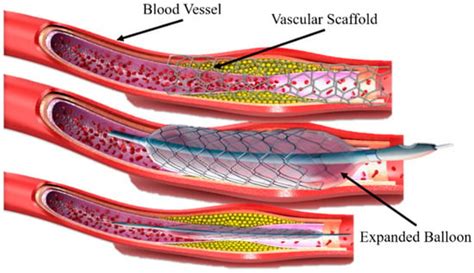 Tìm Hiểu Về Thuộc Tính Background Application Max Frame Rate Là Gì Trong Cài đặt Game