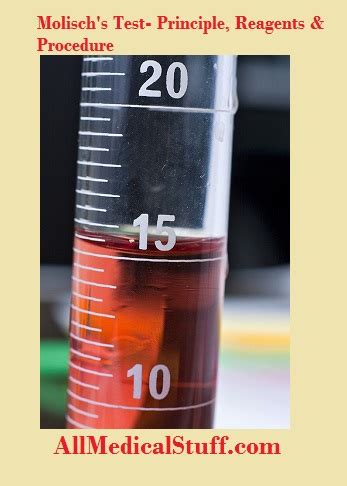Molisch S Test Qualitative Test For The Presence Of Carbohydrates