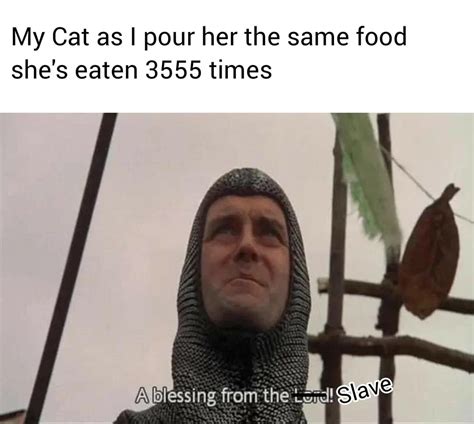 Indeed R Catmemes