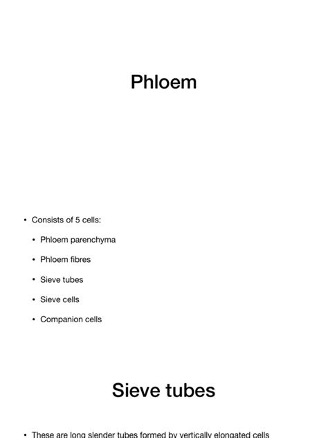 Tissue Class9 Pdf Epithelium Muscle