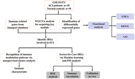 Comprehensive Landscape Of Immune Based Classifier Related To Early