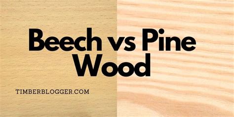 Beech Vs Pine Wood Which Is Best For Your Furniture Timber Blogger
