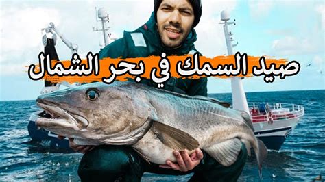 صيد السمك في أخطر بحار العالم بحر الشمال مع صياد هولاندي Youtube