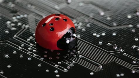 Tester Wallpapers Top Free Tester Backgrounds Wallpaperaccess