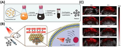 biosensors special issue feature issue of optical and photonic