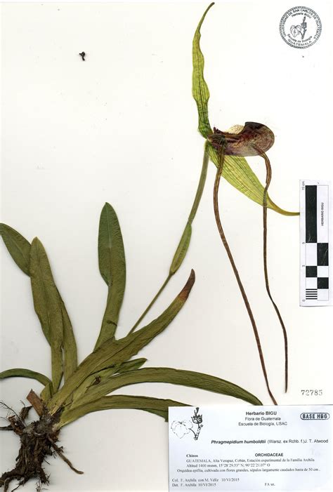 Use Case Data Gbif Norway Global Biodiversity Information Facility