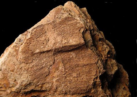 Bryozoa 13 Cochise College Geology