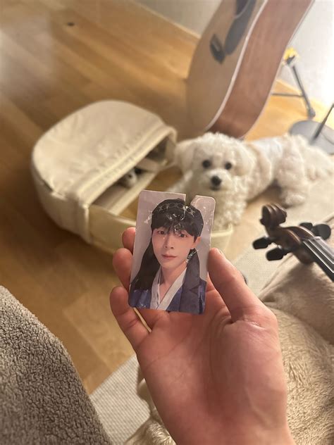 잡담 아빠 포카 잘근잘근 씹어 놓은 아들 우짜지ㅠㅠㅠㅠㅠㅠㅠㅠ 인스티즈instiz Kpop예능 카테고리