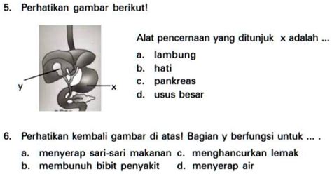 SOLVED Tolong Dijawab Ya Dua Pertanyaan Saja Perhatikan Gambar