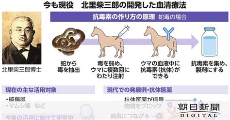扉北里の血清療法命救い130年 抗体を発見生物毒の治療や薬の開発にも朝日新聞