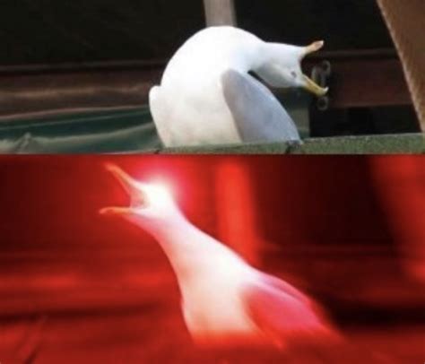 Create Meme Meme Goose Deep Breath Meme Screaming Seagull Meme