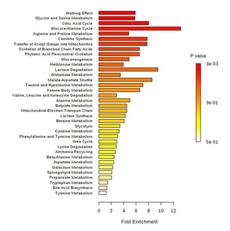 Metabolite Set Enrichment Analysis Performed On 1 H Nmr Metabonomic