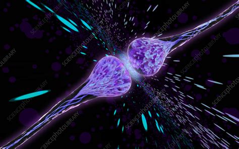 Neural Synapse Illustration Stock Image C058 4230 Science Photo