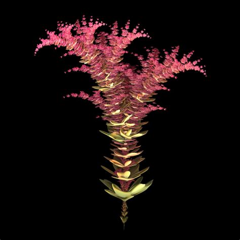 File Bush Plant Png Incendiawiki