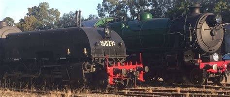 Esu Loksound 5 Dcc Sound Decoders