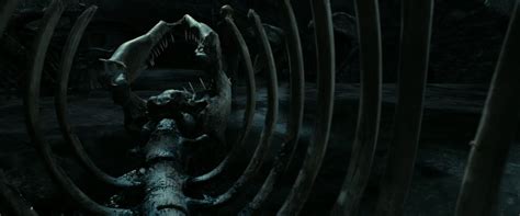 Image Basilisk Skeleton Harry Potter Wiki Wikia