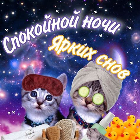 Спокойной ночи Спокойной ночи Ночь Кошачьи цитаты