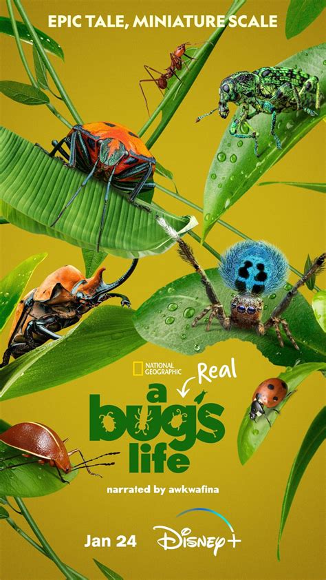 A Real Bug S Life Coming To Disney Plus