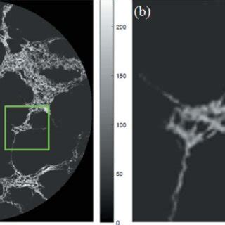 Fused Analytical And Iterative Reconstruction AIR Via Modified Proximal Forward Backward