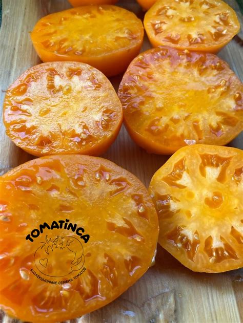 Немецкая оранжевая клубника / German Orange Strawberry/ Германия ...