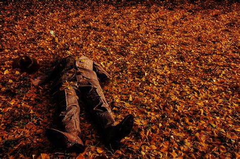 Cuáles son los planos de la fotografía forense