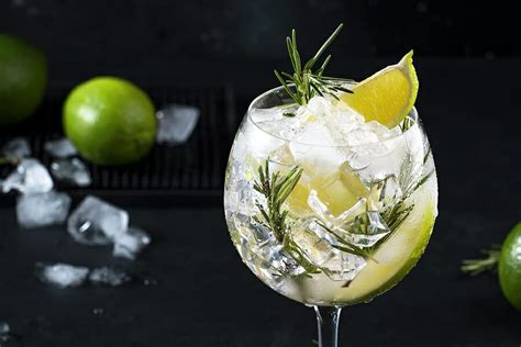 A Complete Guide To Gin | Incredible Things