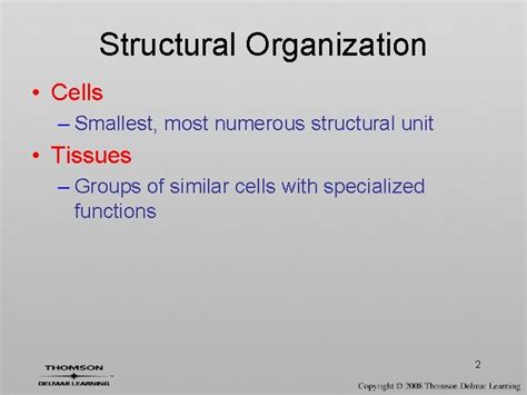 chapter 4 whole body terms structural organization cells