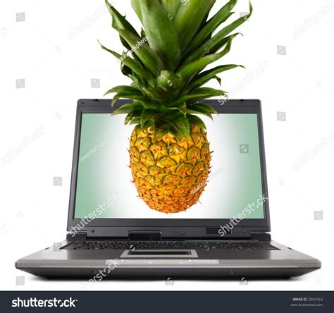 Pineapple Computer Photos Images And Pictures Shutterstock