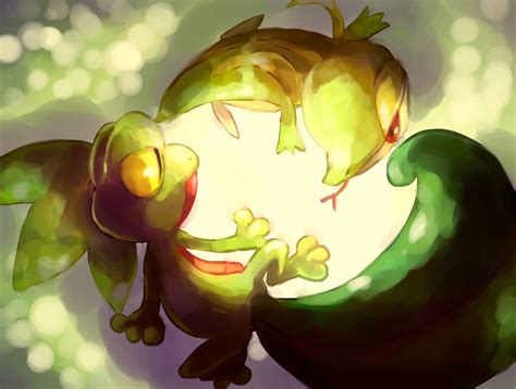 Pokemon Treecko And Snivy By Sa Dui On Deviantart