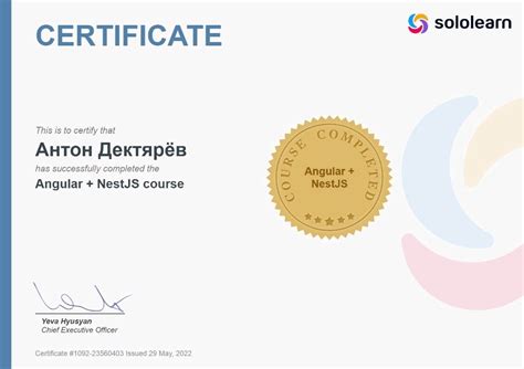 Anton Dektyarev On Linkedin Angular Nestjs Postgresql Sololearn