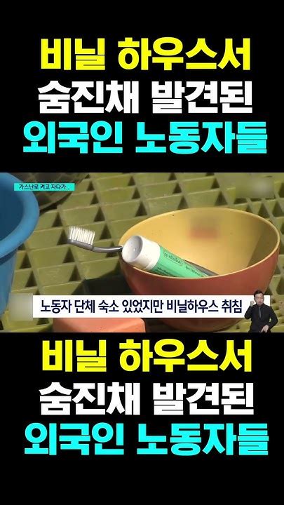한국농수산tv 비닐 하우스서 숨진 채 발견된 외국인 노동자들 Youtube