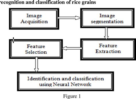 Figure 1 From Identification And Classification Of Rice Varieties Using Neural Network By