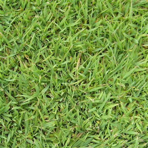 Turf Laying Services Brisbane Turf Traders