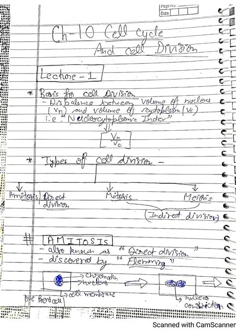 SOLUTION Cell Cycle And Cell Division Notes Studypool
