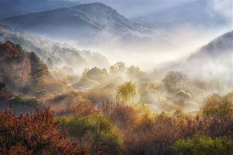 사진작가 임동현의 가을 단풍의 향연 한국다중뉴스