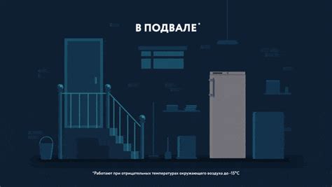 морозильная камера на балкон liebherr