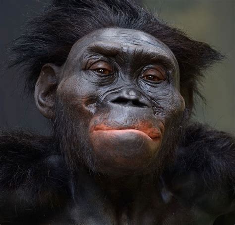 Amazingly Realistic Reconstructions Of Our Ancestors Illustrate Human