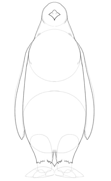 Penguin Drawing For Beginners Front And Side View