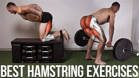 The Best Hamstring Exercises For Strength And Size Science Of Training