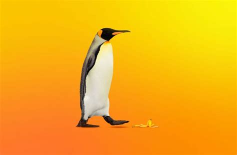 CVE un código malicioso en las distribuciones de Linux Blog oficial de Kaspersky