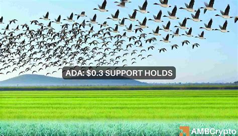 Cardano Price Prediction Watch These Price Levels If 03 Level Holds Ambcrypto