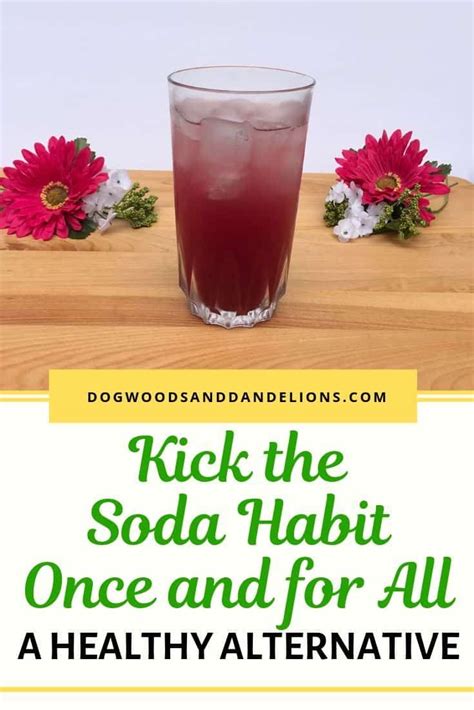 Homemade Soda Recipe Kick The Habit And Stay Healthy