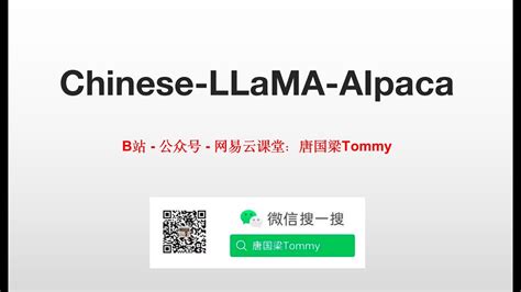 案例实战 10 LLaMA tokenizer模型与中文tokenizer模型合并操作 YouTube