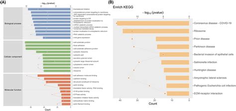 Cellular Process Mediated By Hfrefhfmref And Hfpef Eat Proteins
