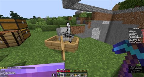 Since When Could Skeletons Spawn With Swords R Minecraft