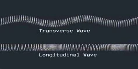Experiment Demonstration Of Transverse Wave QS Study