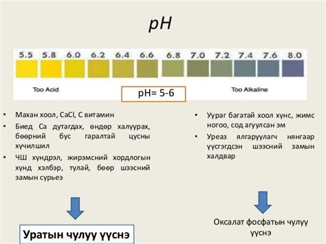 шээсний ерөнхий шинжилгээ