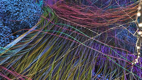 Blue Brain Finds How Neurons In The Mouse Neocortex Form Billions Of